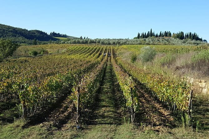 Discover Chianti Through its Wines - An Authentic Taste of Tuscany: In-Depth Look at the Experience