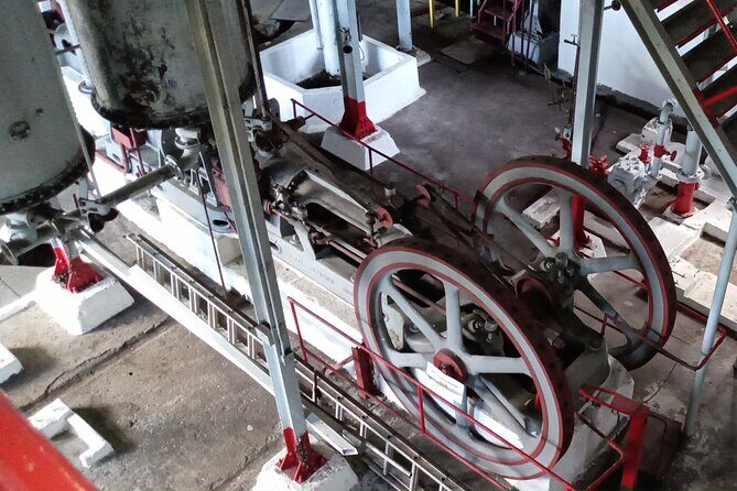 Discover Clarkes Court Rum Distillery  Transportation Only - What the Tour Includes and What It Doesnt