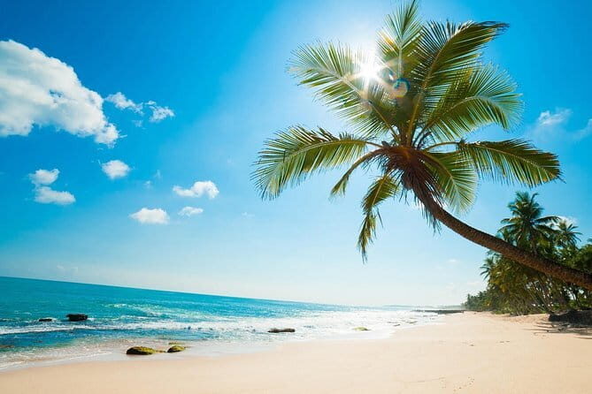 Discover Con Son Bay and Cau Island - Transportation, Duration, and Practical Tips