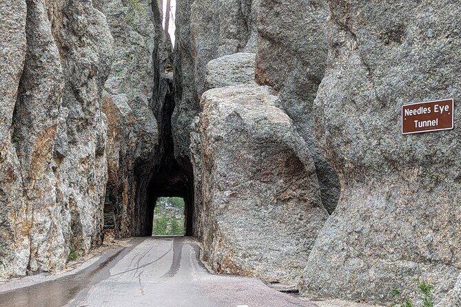 Discover Custer State Park A Self Guided Audio Driving Tour - Who Would Enjoy This Tour?