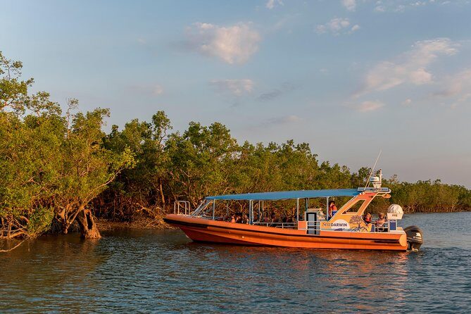 Discover Darwin Harbour 1 hour Darwin Harbour Cruise - Analyzing the Experience in Detail