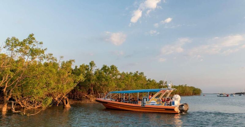 Discover Darwin Harbour: Darwin Harbour Afternoon Cruise - Who is This Tour Best For?