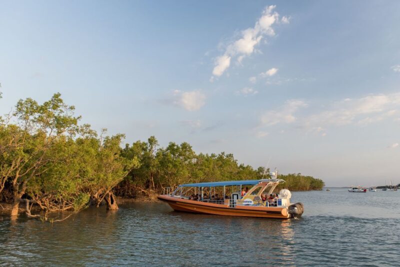 Discover Darwin Harbour: Darwin Harbour Afternoon Cruise - FAQ