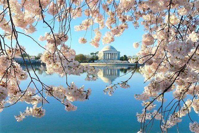 Discover DC Private Tour  (Up to 12 Guests) - FAQs