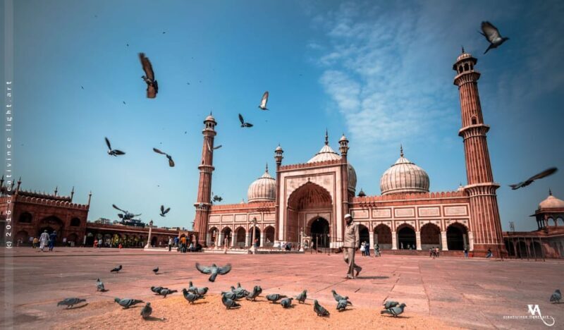 Discover Delhi in a Day: Private Tour with Comfort & Style - Who Should Consider This Tour?