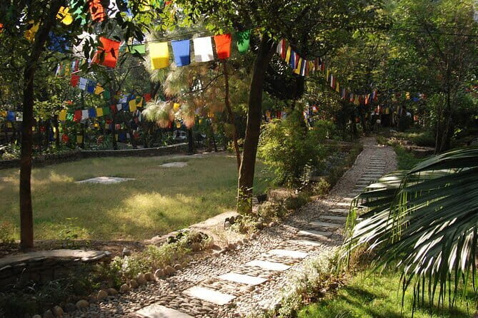 Discover Dharamshala's monasteries for Tibetan spirituality - Who Will Enjoy This Tour?