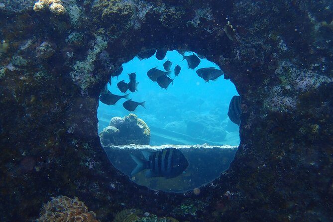 Discover Diving in Curacao - Key Points