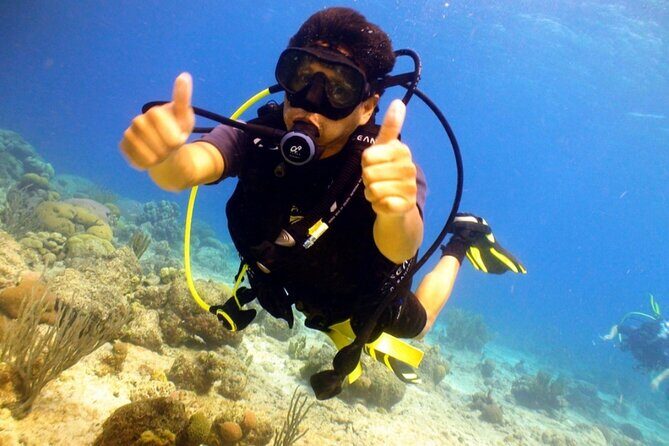Discover Diving in Curaçao with Transportation Included - Introduction to the Tour