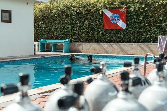 Discover Diving in Curaçao with Transportation Included - The Sum Up