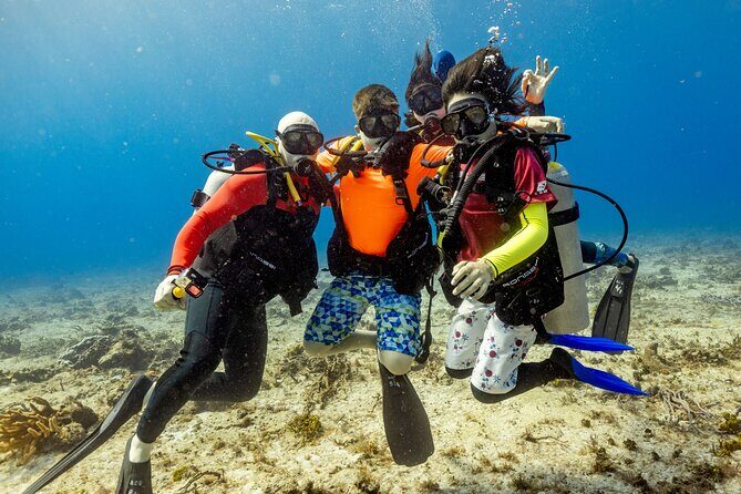 Discover Diving in the Reefs of Cozumel - Introduction to the Underwater wonders of Cozumel