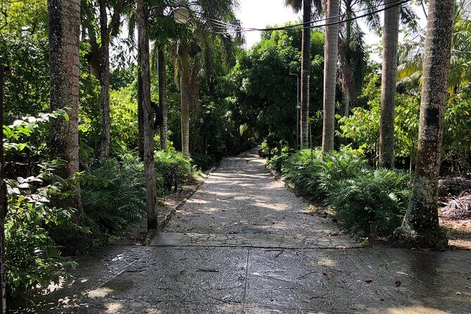 Discover Dominican life - A detailed look at what you can expect