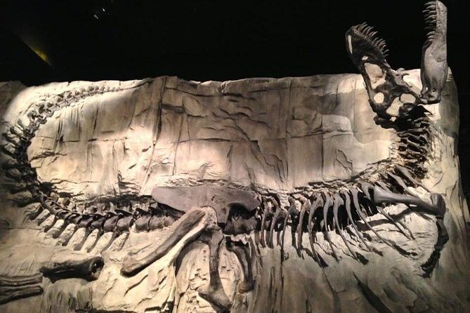 Discover Drumheller, Horseshoe Canyon, Royal Tyrrell Museum - Who Will Love This Tour?