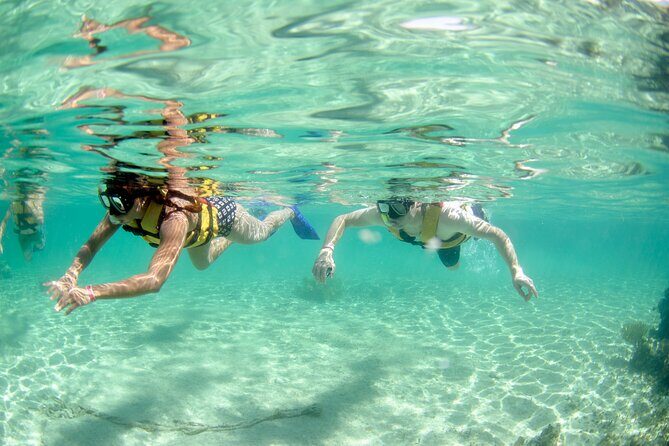Discover El Cielo and Cozumel Snorkeling Adventure - Authentic Marine Encounters and Cultural Flavors