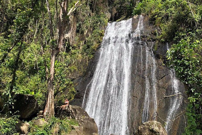 Discover El Yunque National Park: Half-Day Rainforest Tour - Who Will Love This Tour?