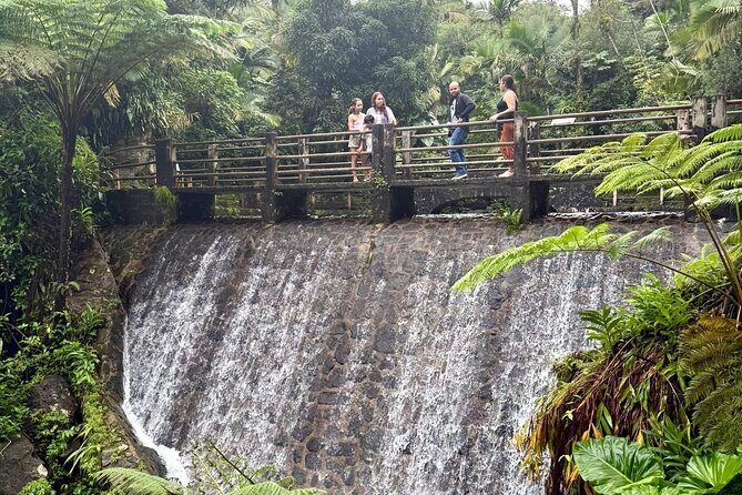 Discover El Yunque National Park: Half-Day Rainforest Tour - FAQ