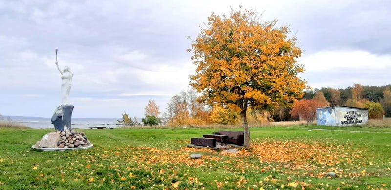 Discover Estonia-car tour from Tallinn to Keila-Joa Waterfal - Authentic Experiences and What Travelers Say