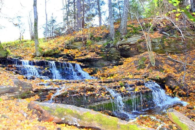 Discover Estoniatour to Lahemaa with waterfalls and nature. - A Closer Look at the Itinerary and Experience