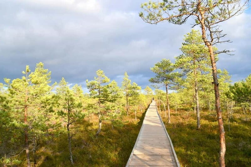 Discover Estoniatour to Lahemaa with waterfalls and nature. - Who Will Enjoy This Tour?