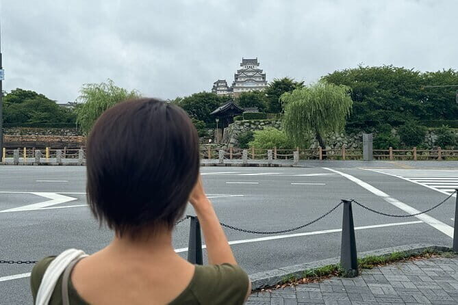Discover Every Bit of Himeji Castle - World Heritage near Osaka - Who Should Consider This Tour?
