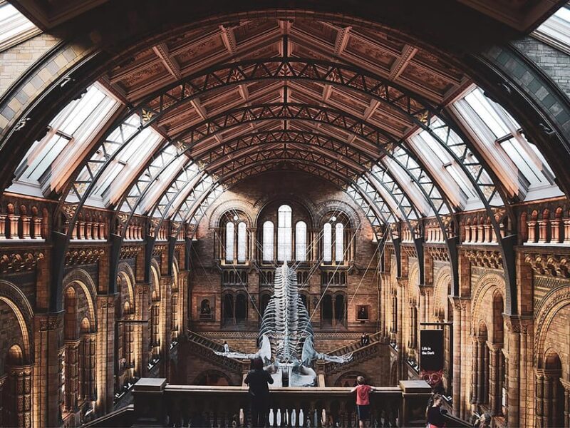 Discover Evolution at the Natural History Museum - A Close Look at the Tour Experience