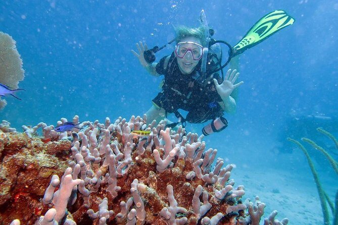 Discover Fajardo: 2-Tank Scuba Diving - What You Can Expect: A Detailed Look at the Tour