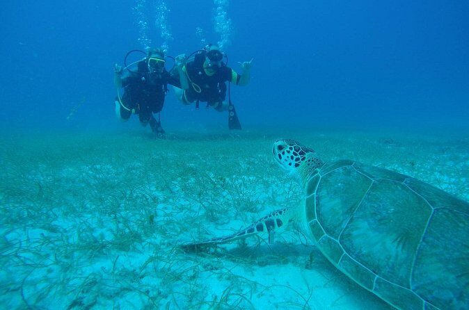 Discover Fajardo: 2-Tank Scuba Diving - Who Will Love This Tour?