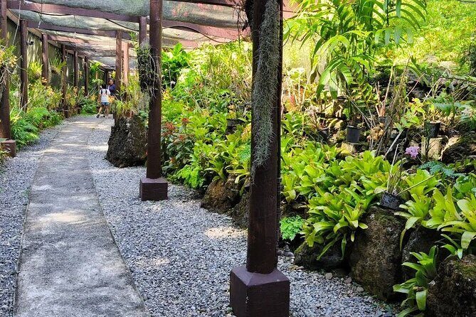 Discover Fiji's Key Attractions in Nadi for a Half-Day Visit - The Real Value: Authentic Experience in a Compact Package