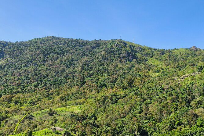 Discover Fiji's Key Attractions in Nadi for a Half-Day Visit - The Sum Up