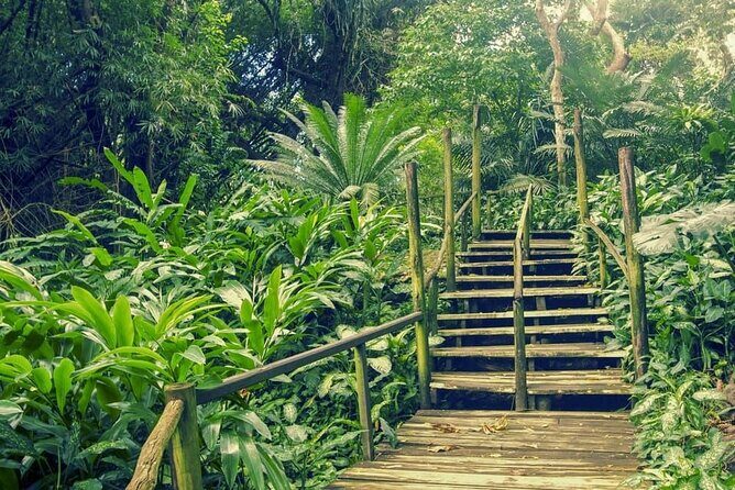 Discover Fiji's Key Attractions in Nadi for a Half-Day Visit - FAQ