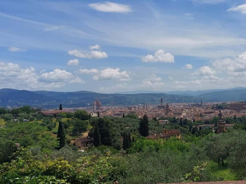 Discover Florence with Wine Tasting like a local - Key Points