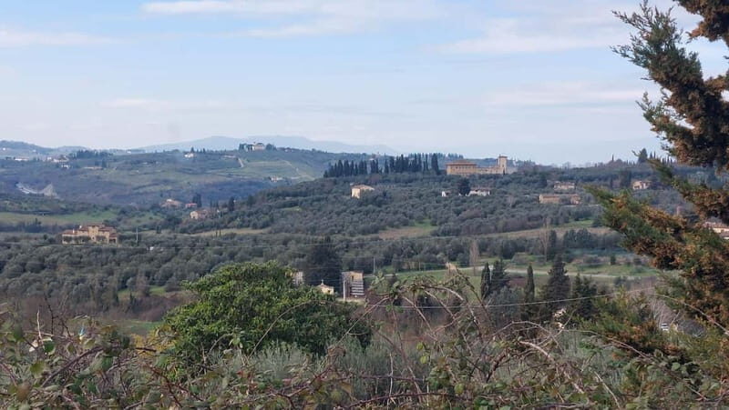 Discover Florence with Wine Tasting like a local - What to Expect: A Step-by-Step Breakdown