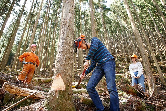 Discover Forester's Life tour (1-day) - Key Points