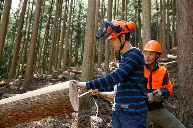 Discover Forester's Life tour (1-day) - A Deep Dive into the Tour Experience