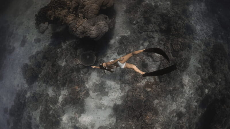 Discover Freediving in Boracay - Discover Freediving in Boracay