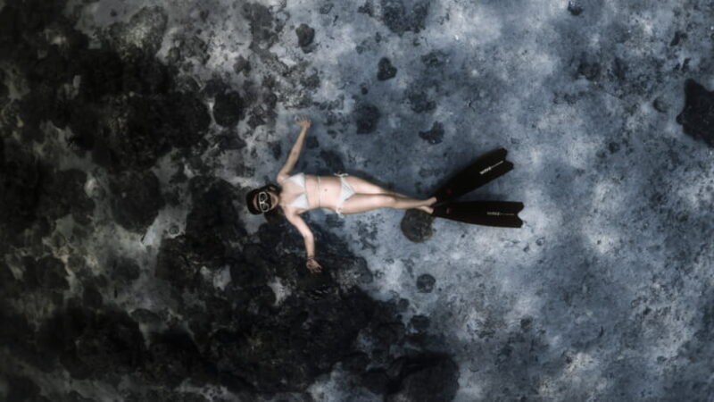 Discover Freediving in Boracay - What Makes This Freediving Tour Special?