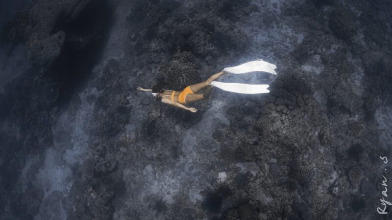 Discover Freediving in Boracay - Who Should Try This Experience?