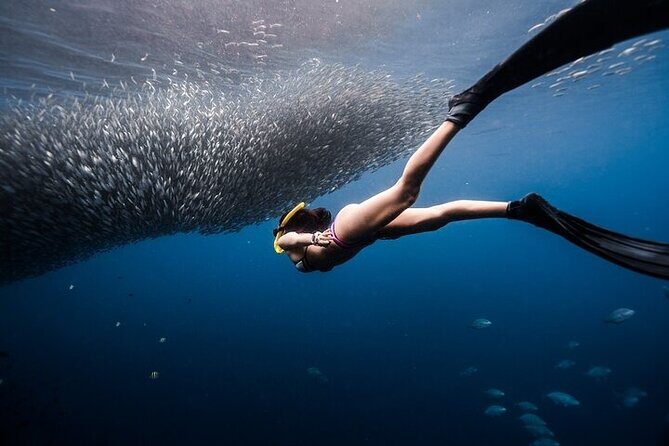 Discover Freediving One Amazing Day - Key Points