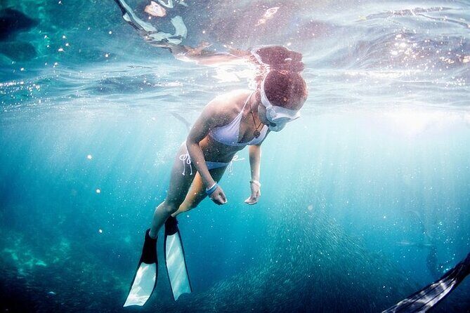 Discover Freediving One Amazing Day - A Well-Structured Introduction to Freediving