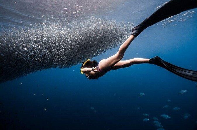 Discover Freediving One Amazing Day - Final Thoughts: Why Choose This Tour?