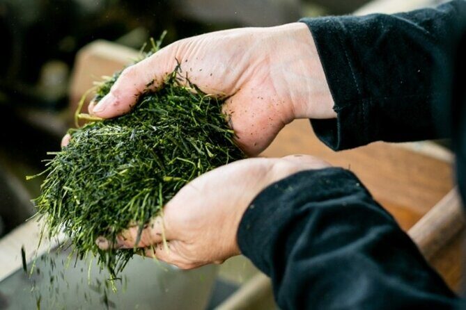 Discover Fukuoka's Sake Tasting and Tea Class - Authenticity and Cultural Depth