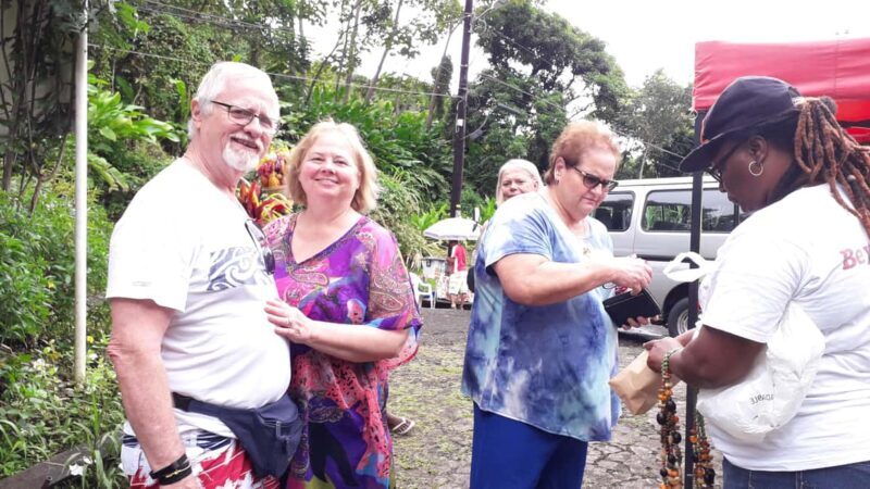 Discover Grenada: Your Sightseeing Taxi Tour Awaits - What Travelers Say