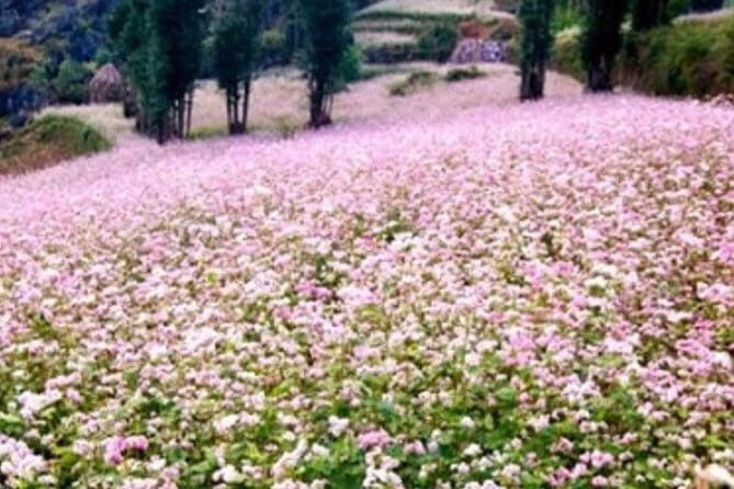 Discover Hagiang 4 Days 3 Nights - An In-Depth Look at the Itinerary