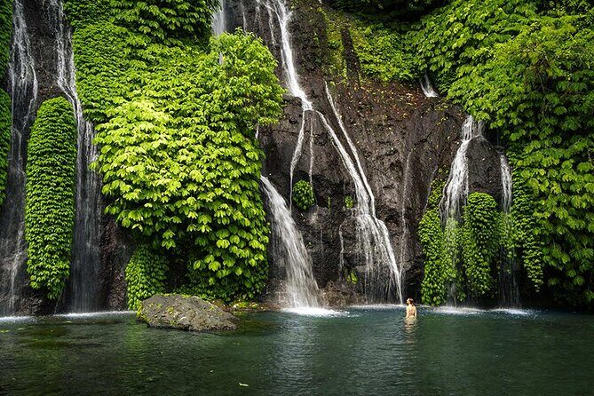 Discover Hidden Bali Waterfalls in Private All Inclusive Tour - Exploring the Waterfalls of Bali: An In-Depth Review