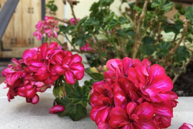 Discover Hidden Stairways & Canyon Paths: Urban Adventure - Key Points