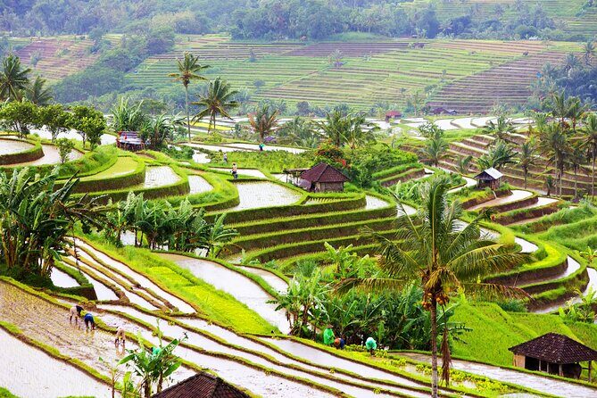 Discover Hidden Waterfall, Unesco Rice Terraces and Mountain Temple - Final Thoughts