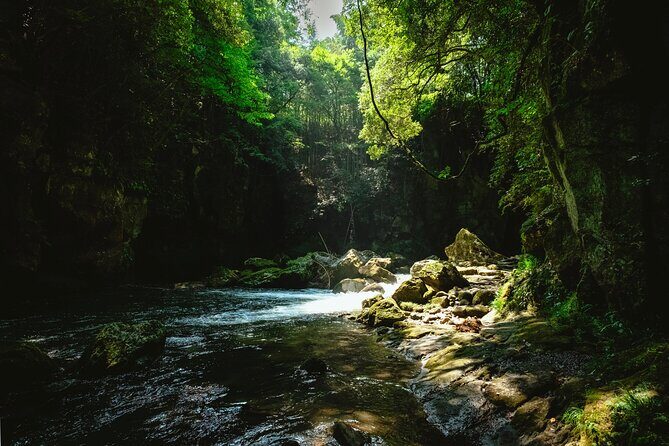 Discover Inner Peace at Fukoji Temple: Meditation Experience - The Days Itinerary—A Balance of Nature, Culture, and Cuisine