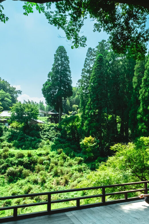 Discover Inner Peace at Fukoji Temple: Meditation Experience - The Sum Up: Is This Tour Worth It?
