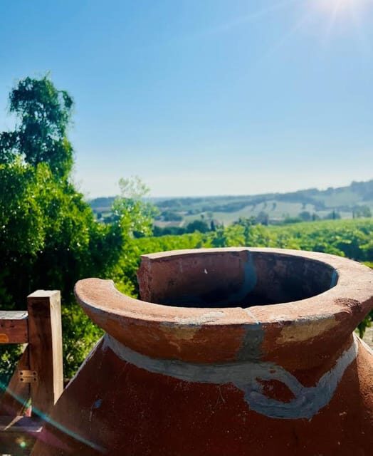 Discover Italian Wines: Exclusive Tasting at Tenuta La Viola - A Close Look at the Tenuta La Viola Wine Tour