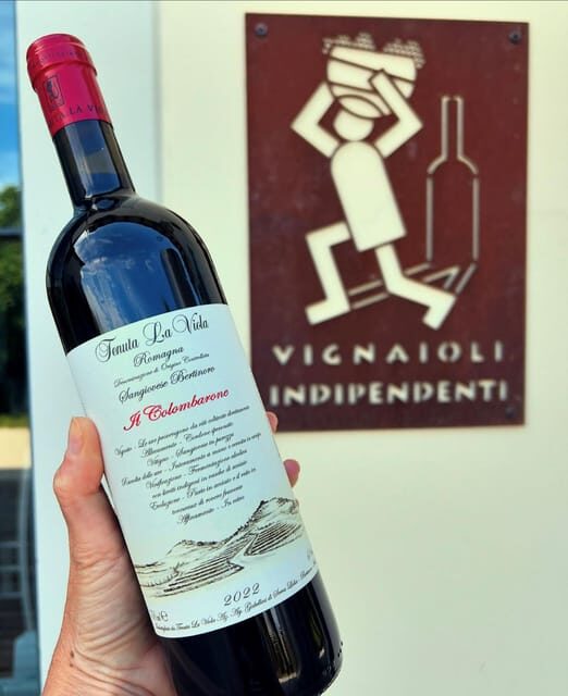 Discover Italian Wines: Exclusive Tasting at Tenuta La Viola - FAQs