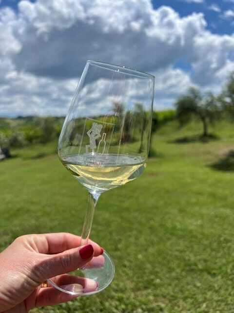 Discover Italian Wines: Exclusive Tasting at Tenuta La Viola - Final Thoughts